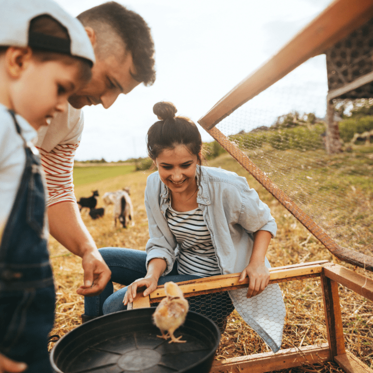 6 New England Farms Worth Visiting - Wicked Northshore